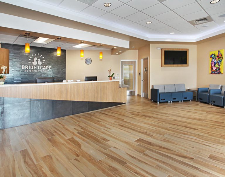 Mission Viejo Animal Neurology & Imaging - Veterinary Neurologist