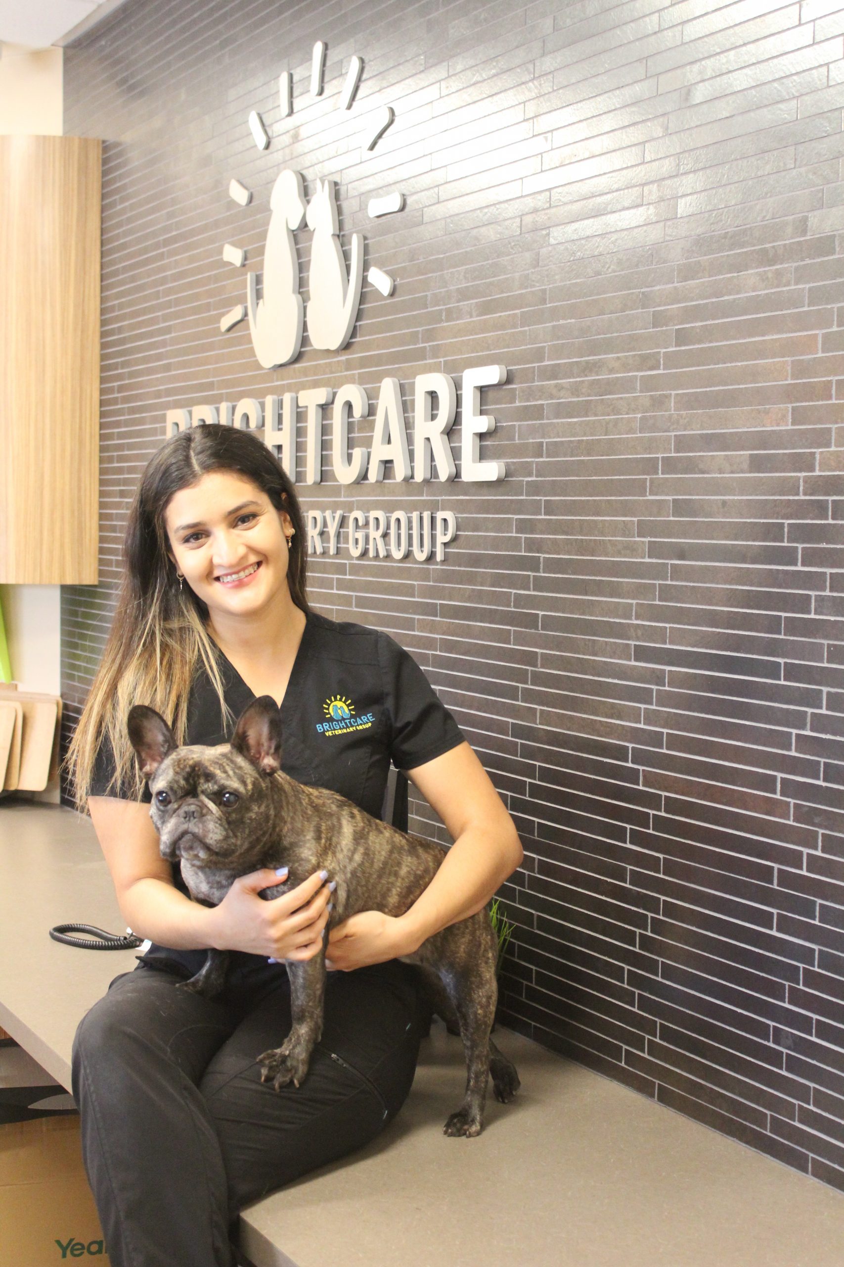 Our Emergency Veterinarians | BrightCare Animal ER Staff